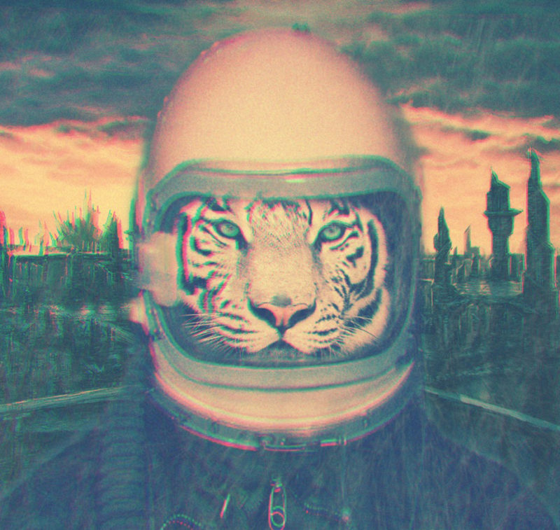 10 things about Xosar: In Pictures and Music - This Is Meat Free ...